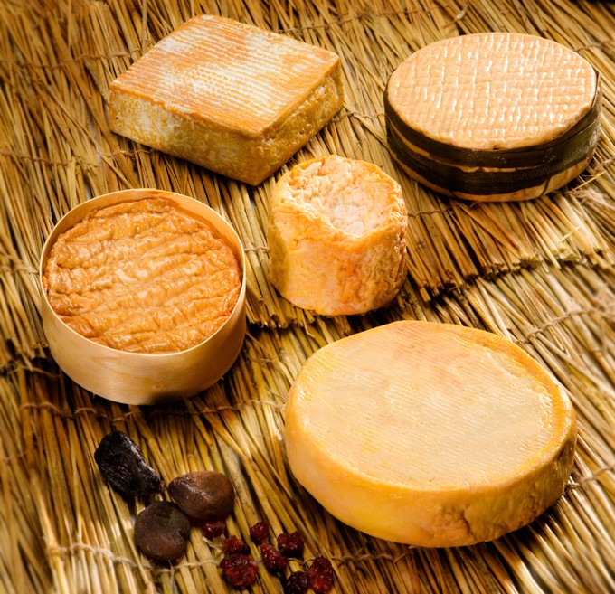 Washed Rind Cheeses - Elite Food Pte LtdElite Food Pte Ltd