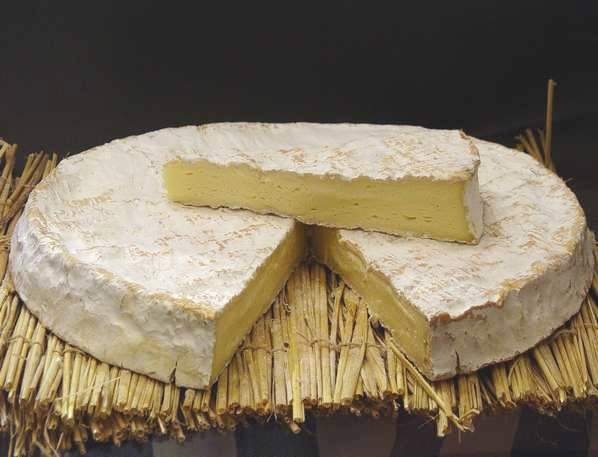 Brie de Meaux Cheese - Elite Food Pte LtdElite Food Pte Ltd