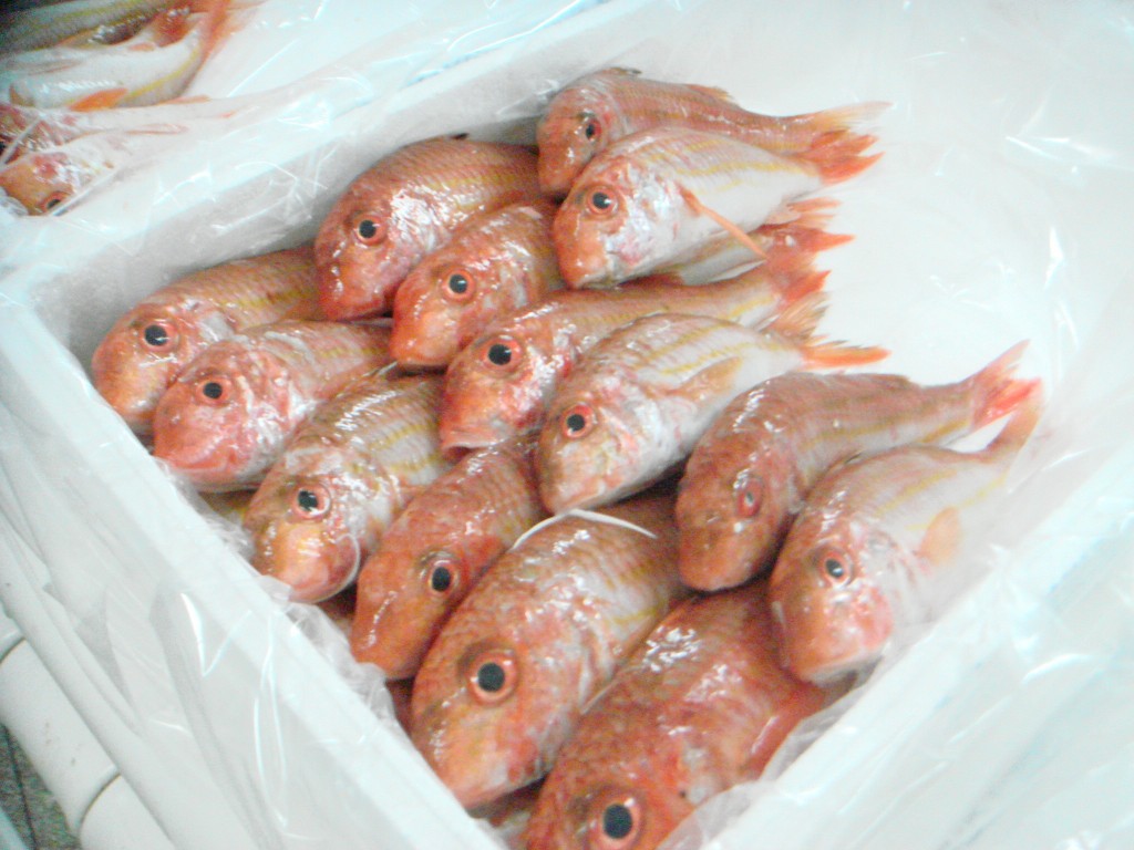Red Mullet/Rouget - Elite Food Pte LtdElite Food Pte Ltd